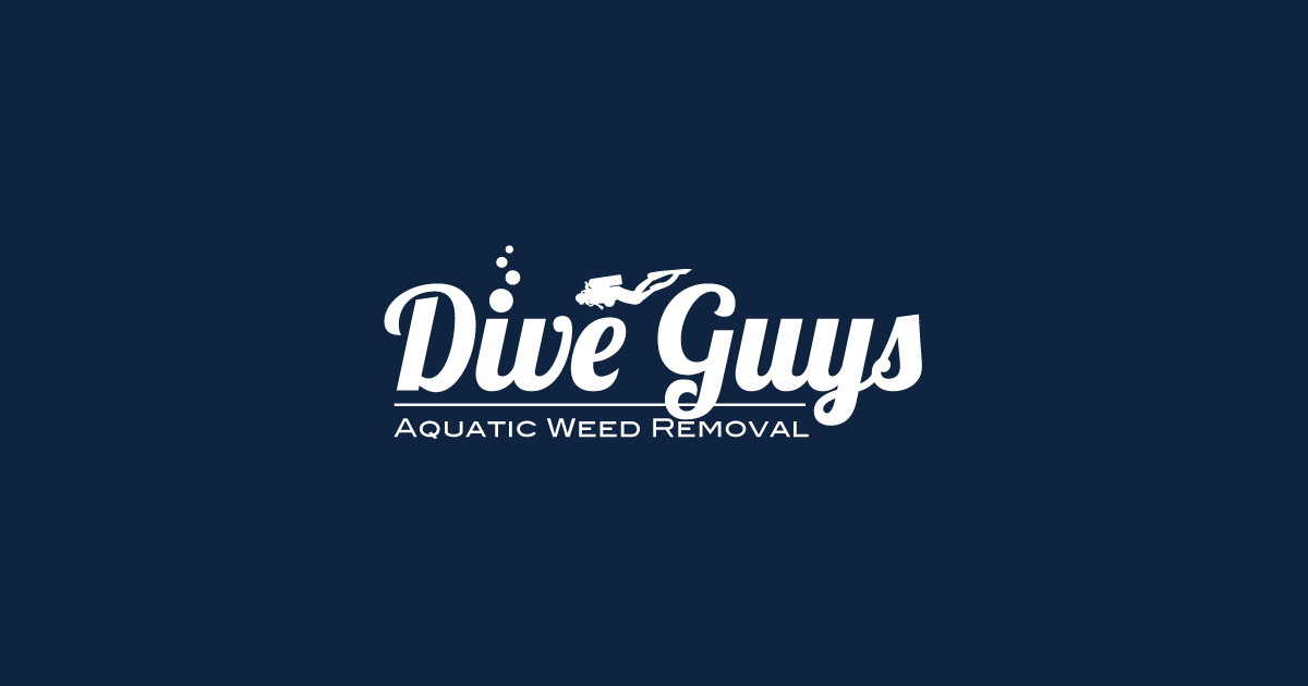 Tick & Mosquito Removal | Dive Guys MN
